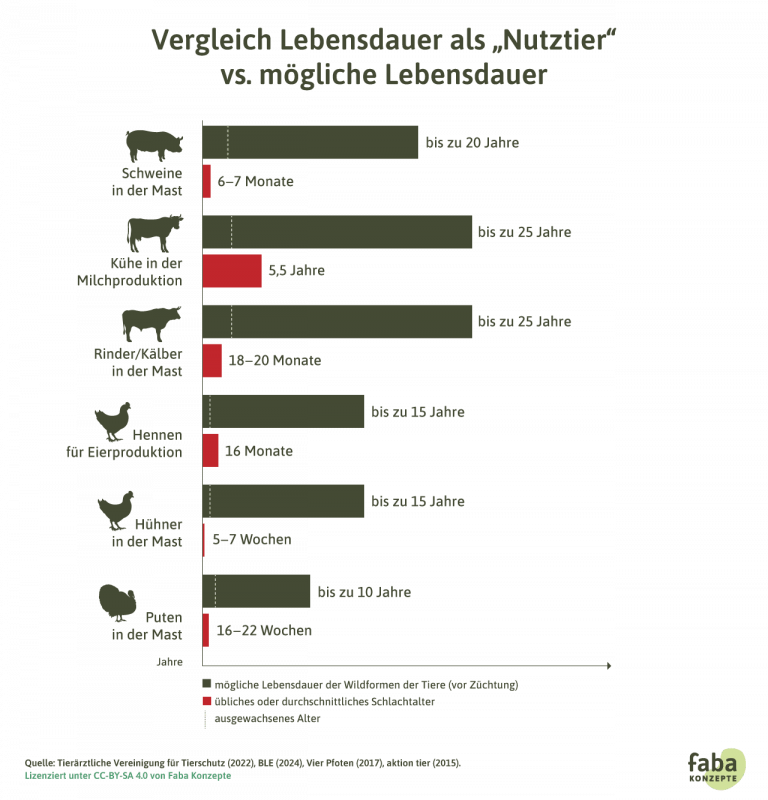 Pflanzliche Ernährung und die Tiere | diesseits - Das humanistische Magazin